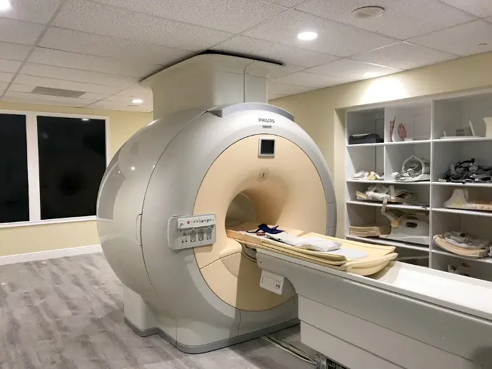 Lakeland Florida | My Website